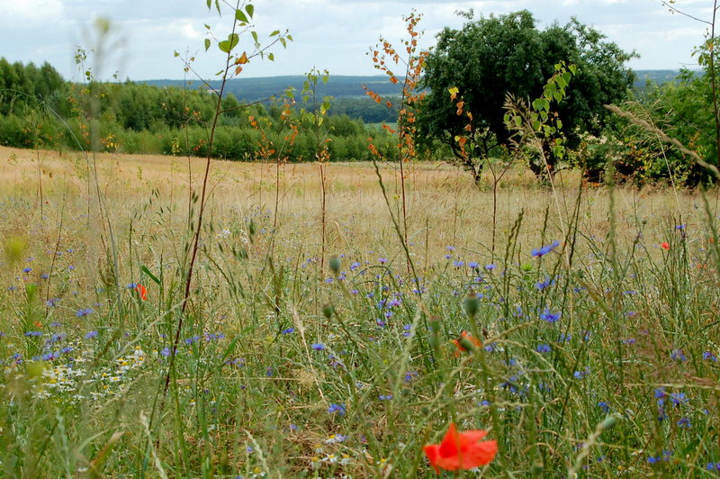 I tu i tam....Y aqui y alla: Grobowiec-piramida, ruina zamku i Perła ...