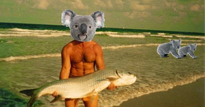 Kosher Koala Blog: Koala Fishing