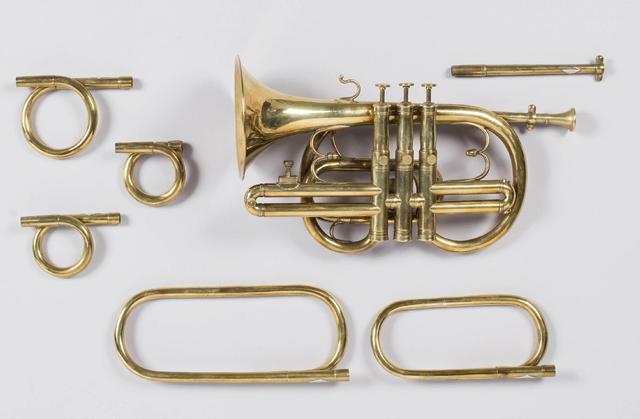 l'A.C.I.M.V - Blog et bulletin de liaison " Le Larigot": RECHERCHE ...