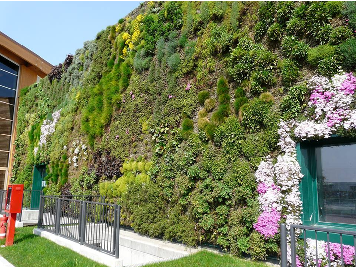 ΤΑΡΑΤΣΟΚΗΠΟΣ...Ο ΚΗΠΟΣ ΤΩΝ ΠΟΛΕΩΝ: Πράσινος τοίχος η κάθετος κήπος ...