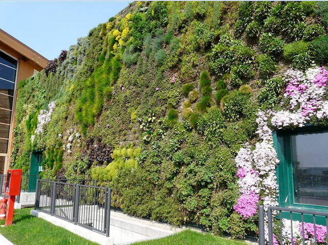 ΤΑΡΑΤΣΟΚΗΠΟΣ...Ο ΚΗΠΟΣ ΤΩΝ ΠΟΛΕΩΝ: Πράσινος τοίχος η κάθετος κήπος ...