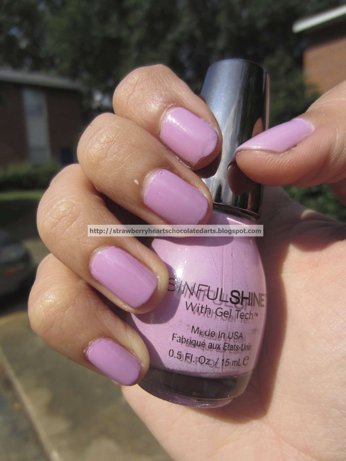 Strawberry Hearts Chocolate Darts: Sinful Shine Gel Tech and Bright ...