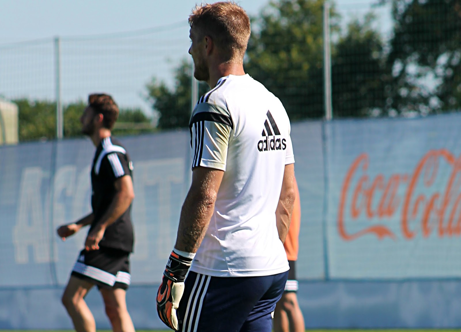 CanteiraCeleste.com: La encrucijada de Yoel