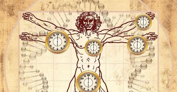 revelation7strong: MEDITATION MOMENT – Body of Time