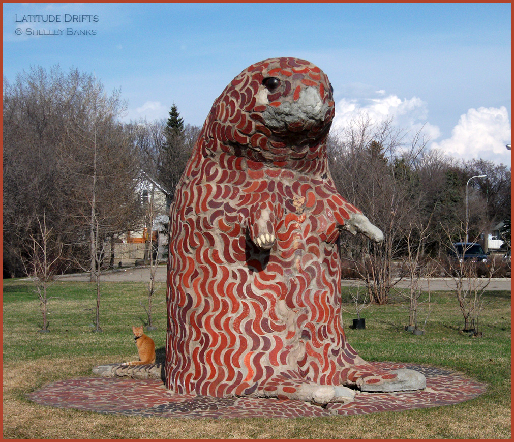 Latitude Drifts: Kitten Protection: Giant Mosaic Beaver