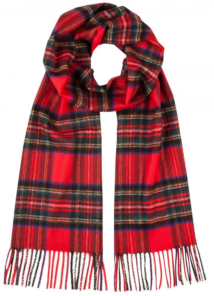 CAIS DO OLHAR: O CACHECOL