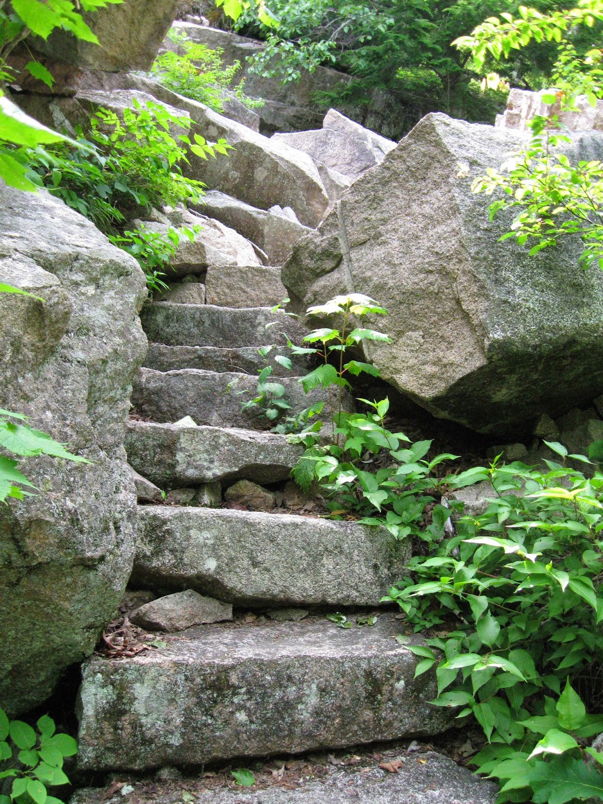 the.arys - gary and mary: 2014-07-08 Ancient stone stairways of Acadia