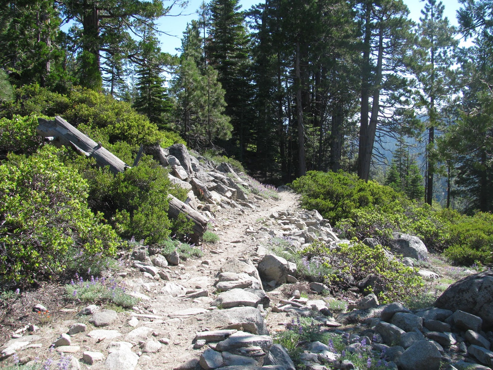 Weekend Wanderluster: Meeks Bay to Lake Genevieve...Almost (El Dorado ...