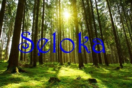 Blog Puisi dan Cerpen: Seloka : Pengertian, Fungsi, Ciri-Ciri, Jenis ...