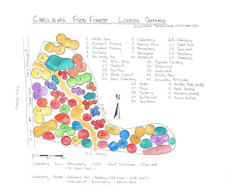 London's Carolinian Food Forest: Design
