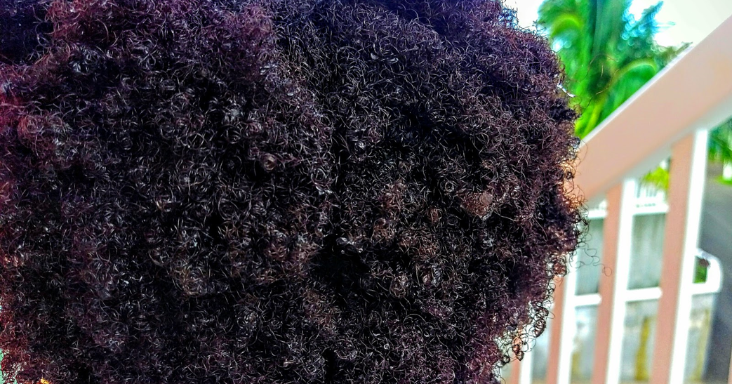 This NATURAL Thing: How I Stumbled on Achieving Extreme Moisture ...