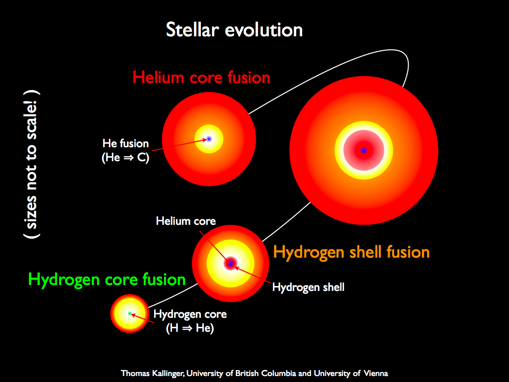 Astronomía General (Julieta Fierro): Tarea 14: La evolución estelar. Astronomía General (Julieta Fierro): Tarea 14: La evolución estelar.