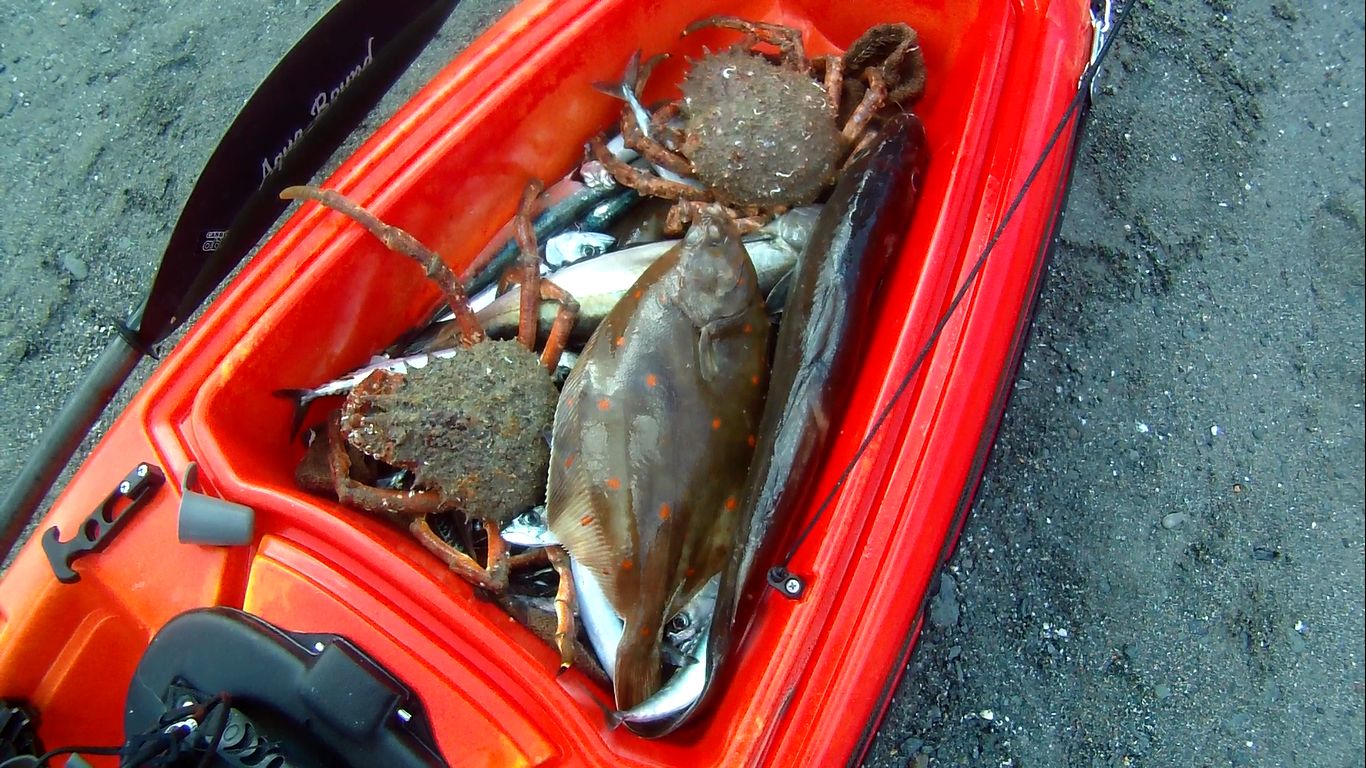 Cornish Shore and Kayak Fisherman: Kayak Fishing - Fishing for Food ...