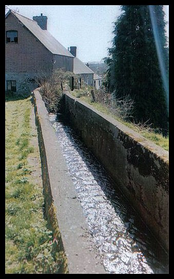Past Remains in South-West Britain: Colcombe Mill, Colyton, Devon