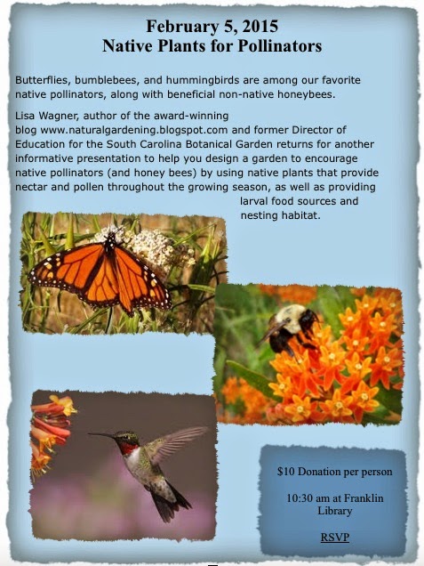 SAPS-NCGA: Native Plants for Pollinators with Lisa Wagner