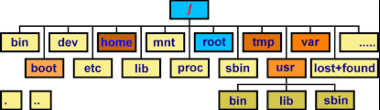 Harshani Somarathne Linux Basics Directory And File Commands