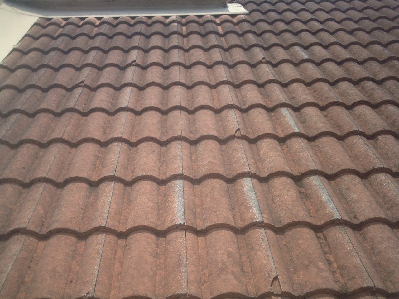 NORMAL PLUMBING: MENGENALPASTI DAN MEMBAIKI BUMBUNG BOCOR DI PUTRAJAYA