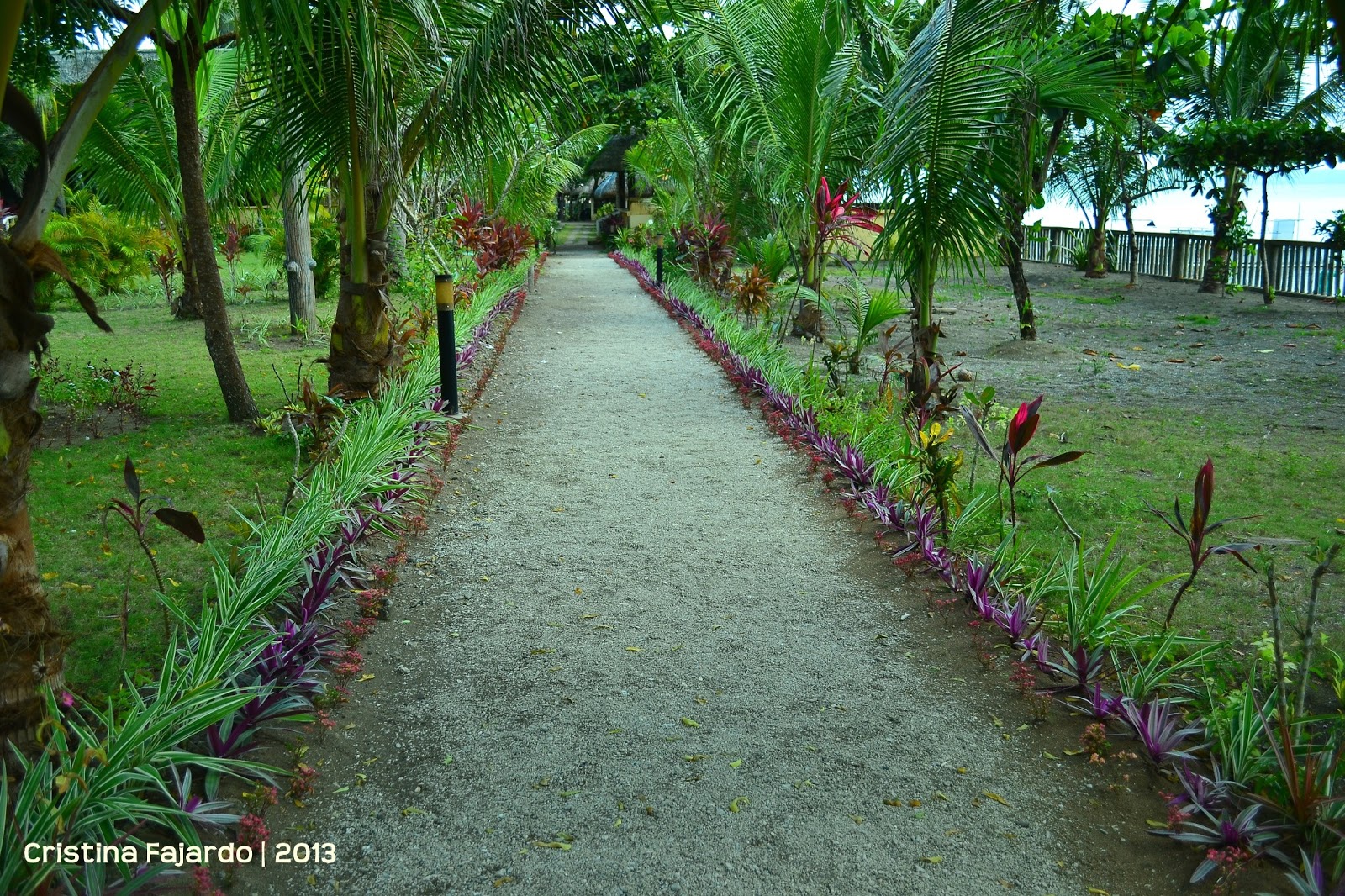 Tales of a Pinay Traveler and Dream Chaser :): Donsol, Sorsogon ...