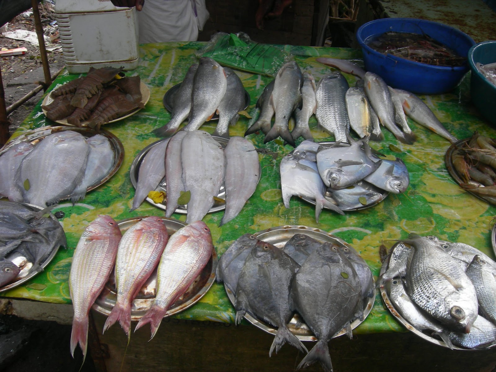 Good Goan Food: Fish Fry