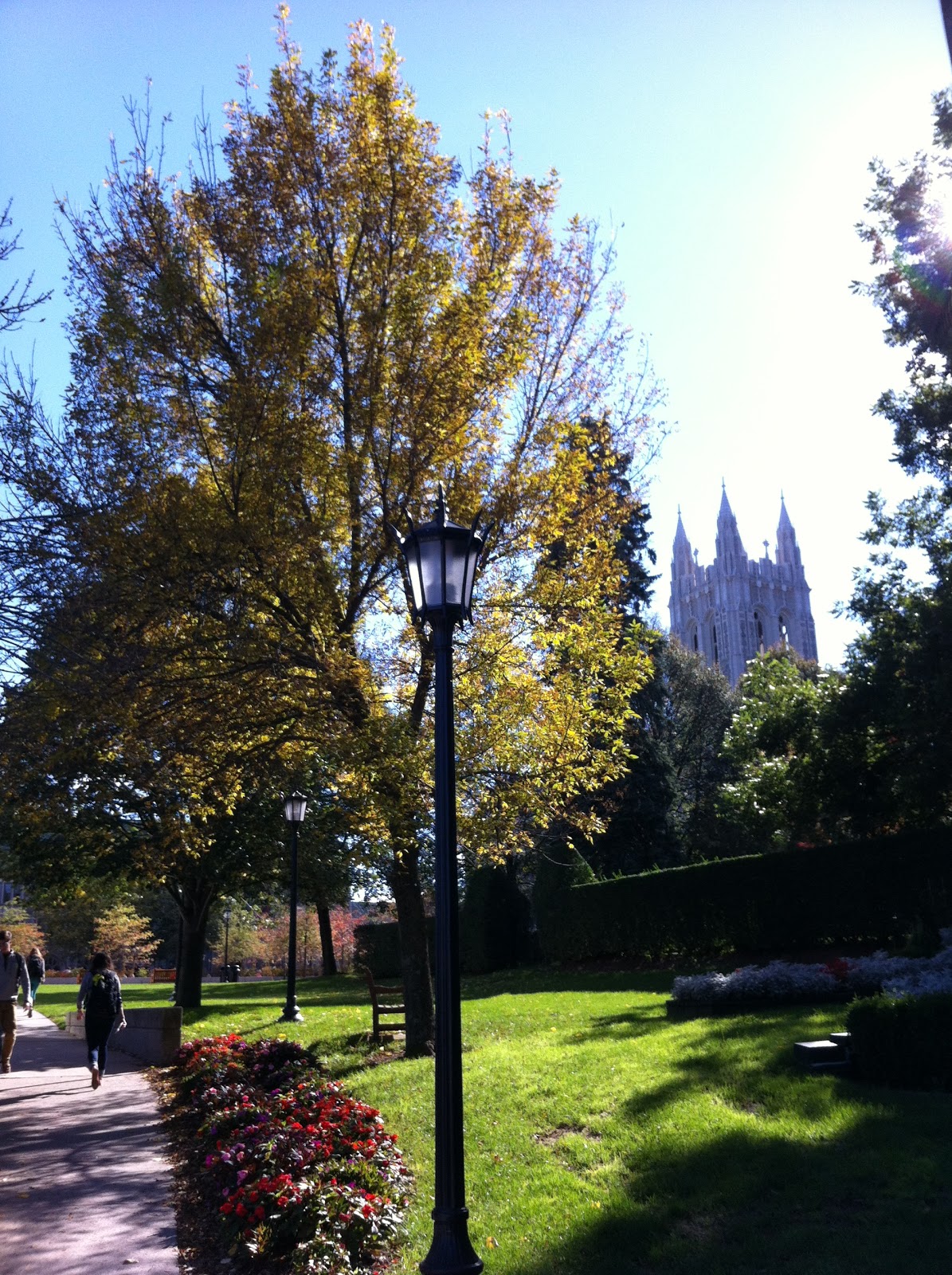 BC Blog: Boston College from a Senior's Perspective