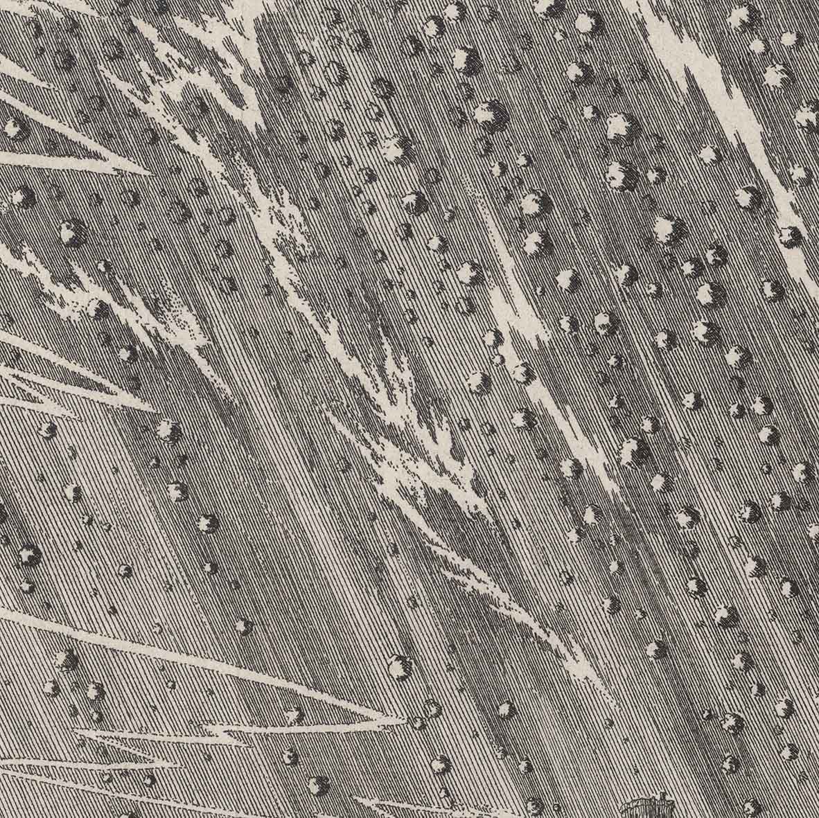 Prints and Principles: Jan Luyken’s etching, “The Plague of Fiery Hail ...