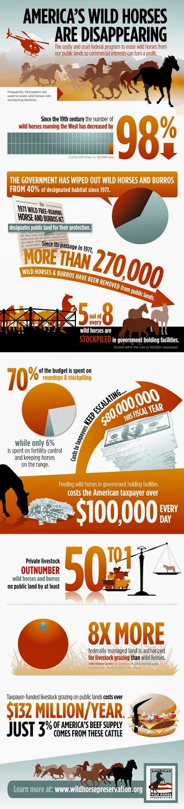 Save the Mustangs: Photos of BLM Roundups