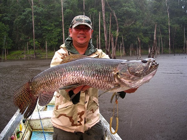 ANGLING WORLD 魔魚釣界: The Exotic Amazon Game Fish - Aimara
