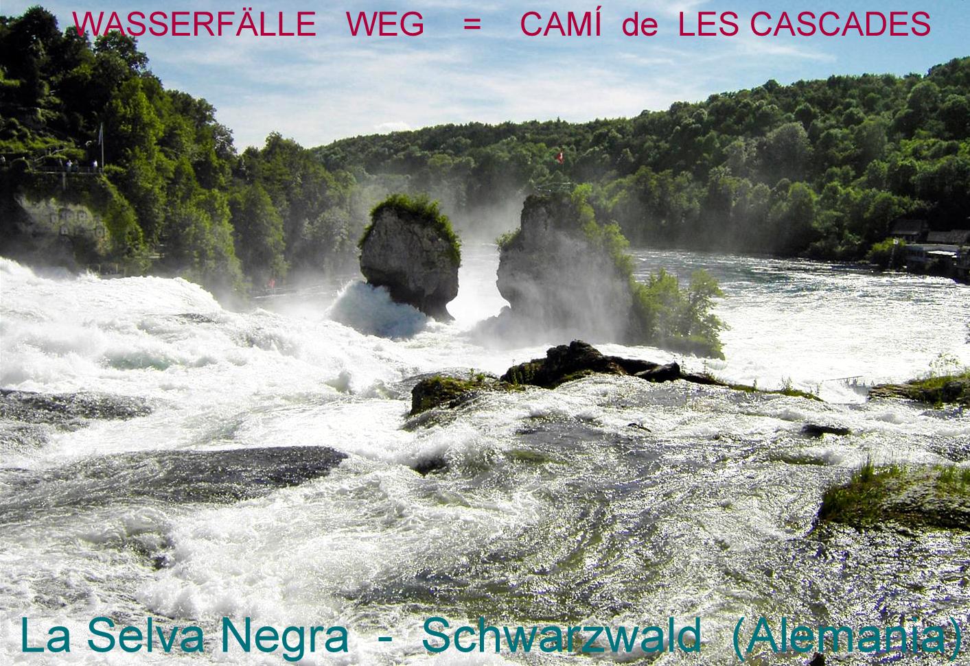 KIMISADES: SCHWARZWALD "La Selva Negra"