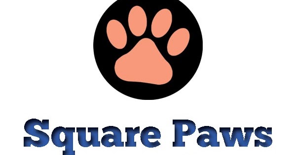 Cat and DOG Chat With Caren: Meet The Mastermind Behind Square Paws ...