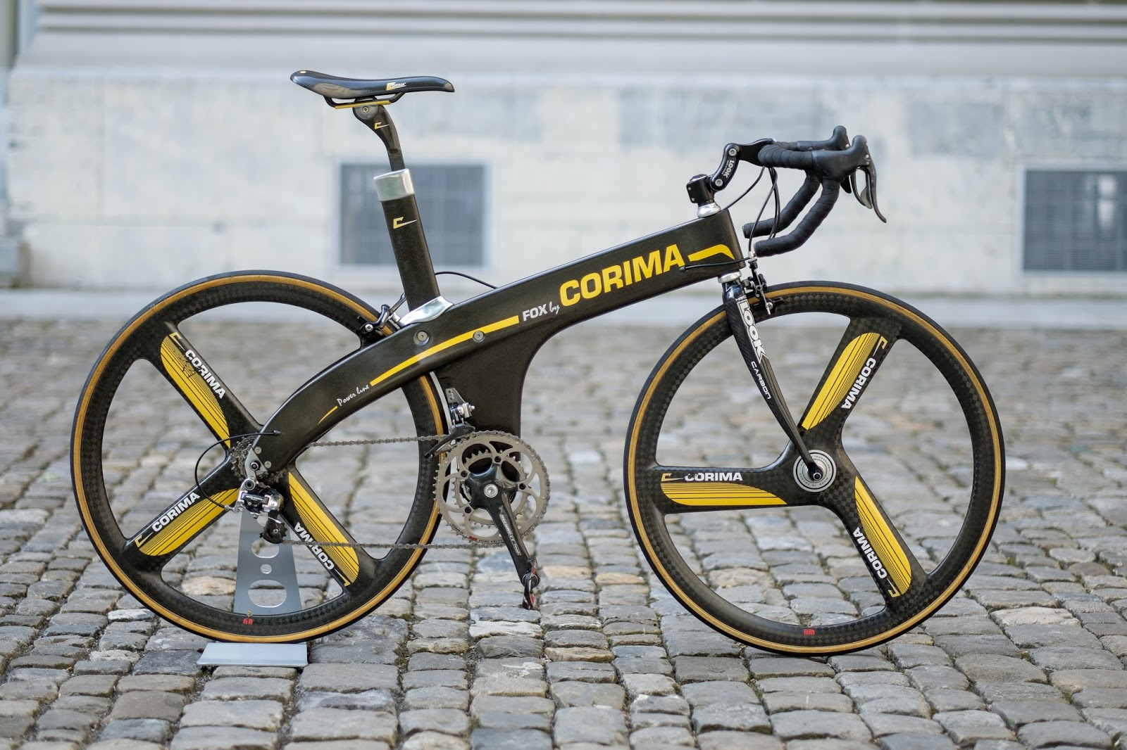 Zuwachs im Zoo: Corima Fox