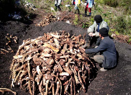 SENDERISMO EN EL RIF/RANDONNÉES DANS LE RIF: DHAR HAJAR Y FAHS LEMHAR ...