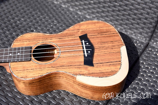 Freshman UKWAL C Concert Ukulele - REVIEW