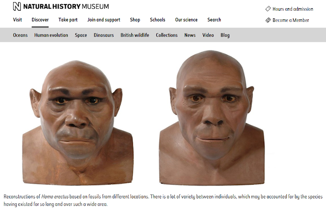 The Cephalic Investigation - Race Eugenics & Dysgenics - Race and Skull ...