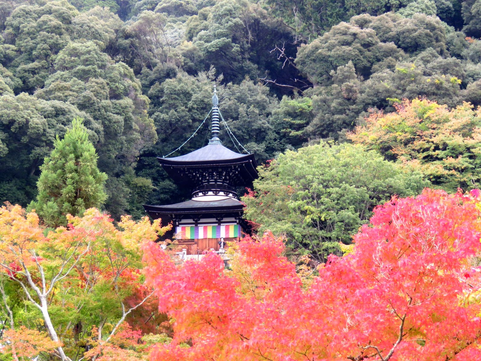ANICCASIGHT: The Beautiful Eikan-do Temple - Kyoto