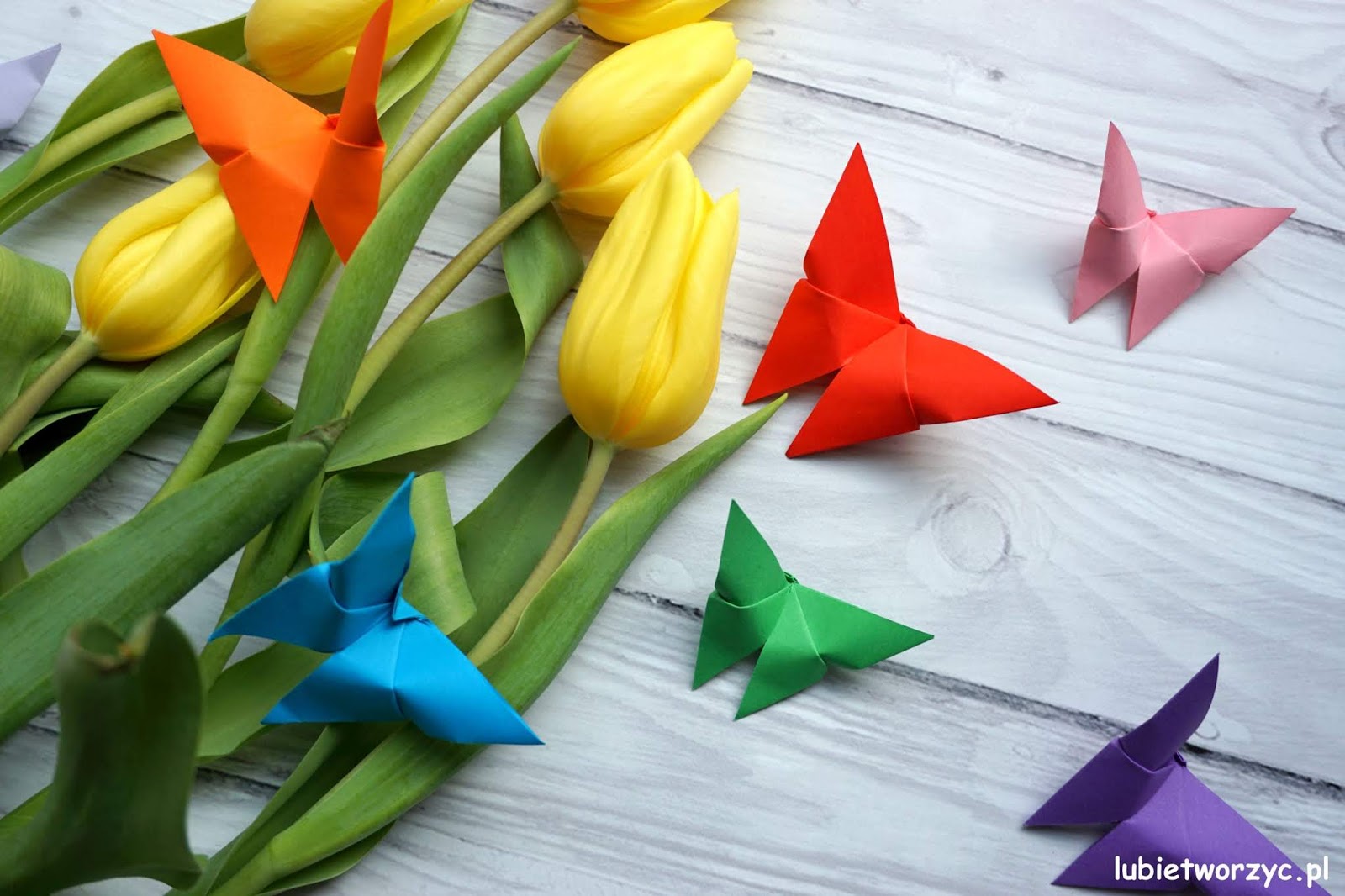 Składanki - Motyl origami