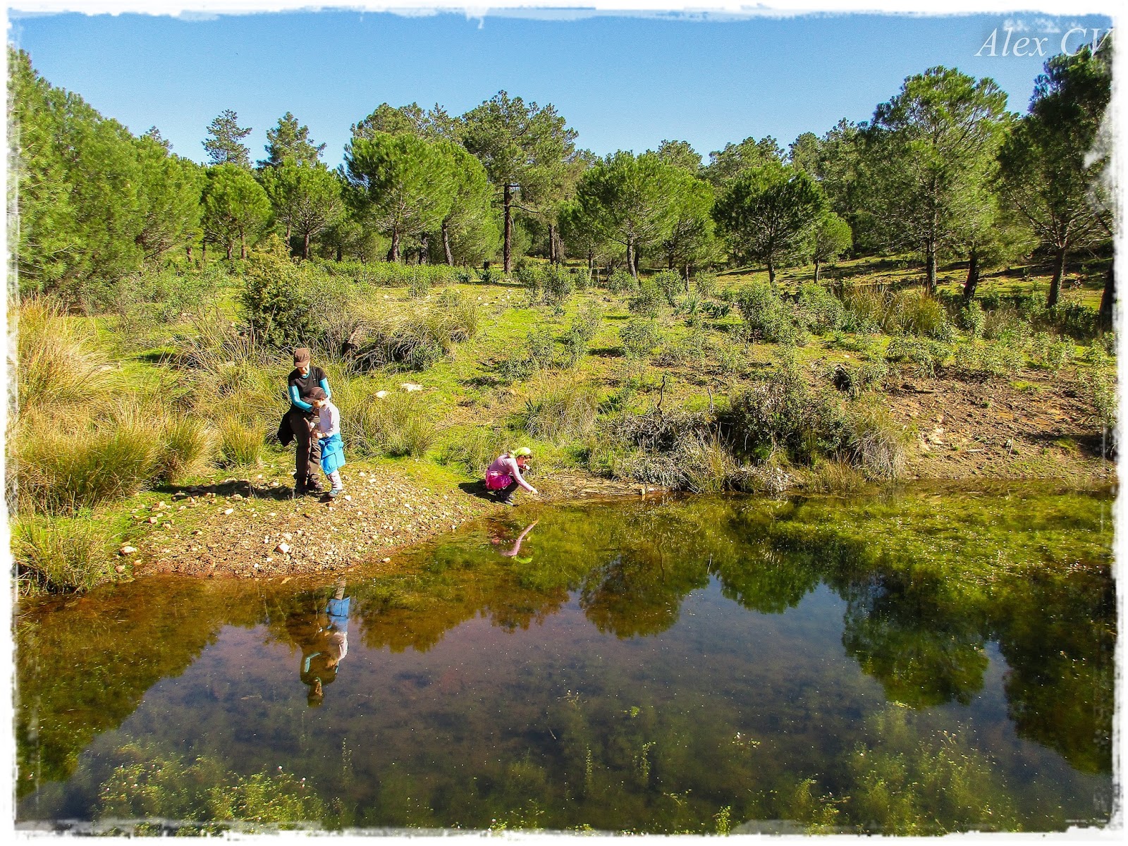 POR LOS CERROS DE ÚBEDA: CIRCULAR MIRANDA DEL REY, CASA DEL HORNILLO ...