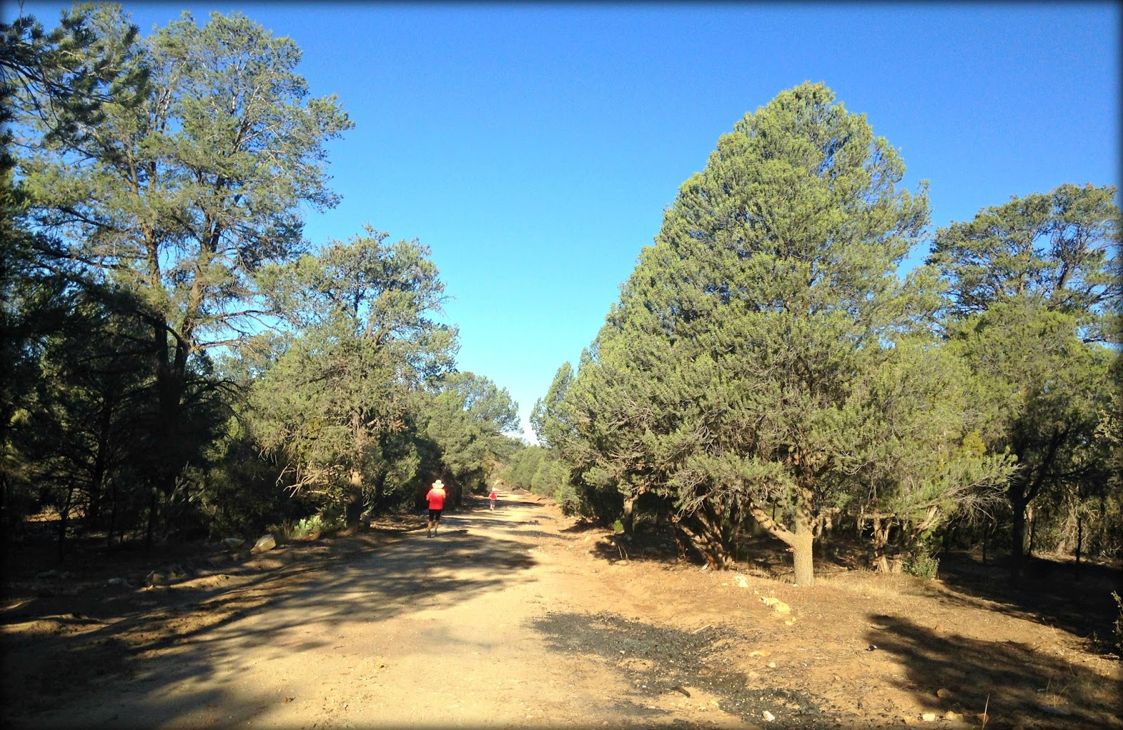 Corre Héctor Corre: Entrenamiento en el Bosque del Cóndor