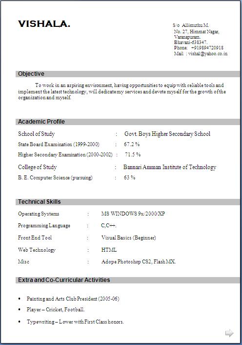 simple cv template