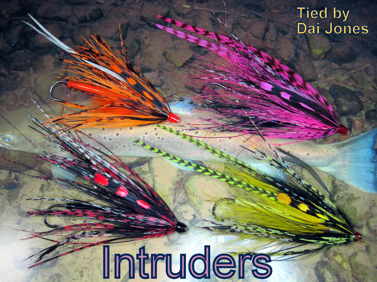 daijones flies: Intruders
