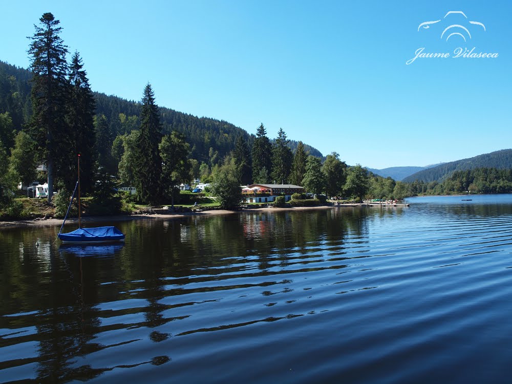 Paisajes: Lago Titisee - Selva Negra - Alemania