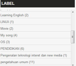 Cara Mudah Membuat Dan Memasang Scroll Pada Widget Label Blog