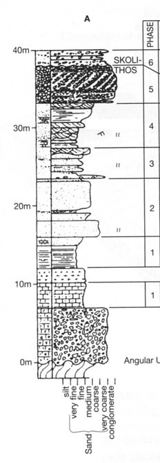 Dawn's Sed Strat Lecture Notes: Interpreting Stratigraphic Columns