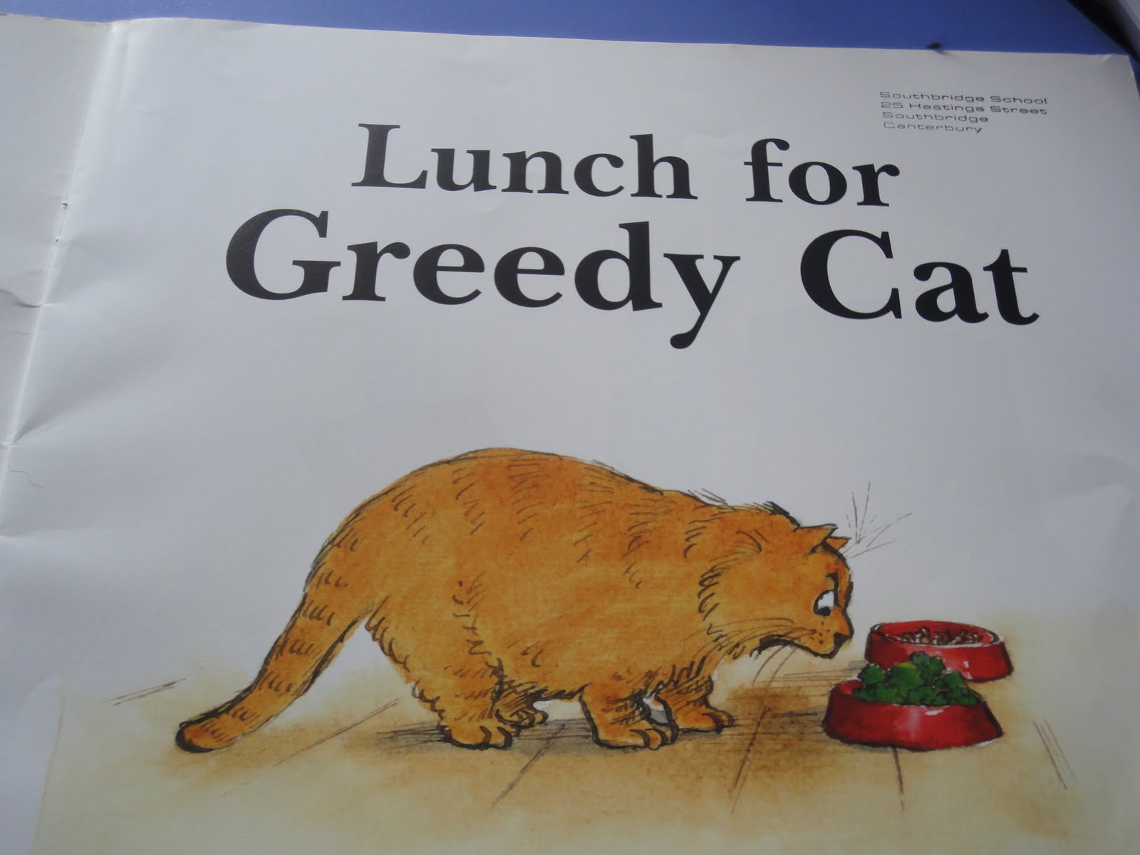 Room 11 Newlands School: May 2012