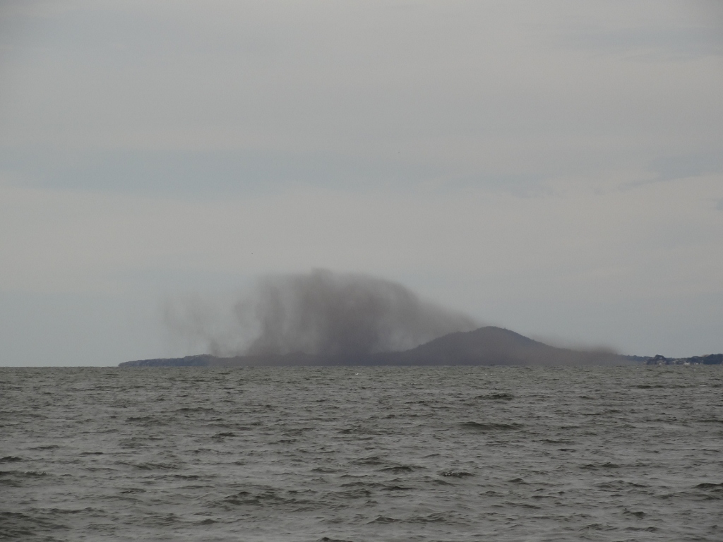 The Gerth Family: Behold, the mighty swarm of lake flies