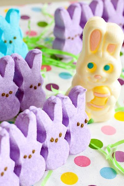 The Cooking Photographer: Beevil the Evil Returns with More S'mores