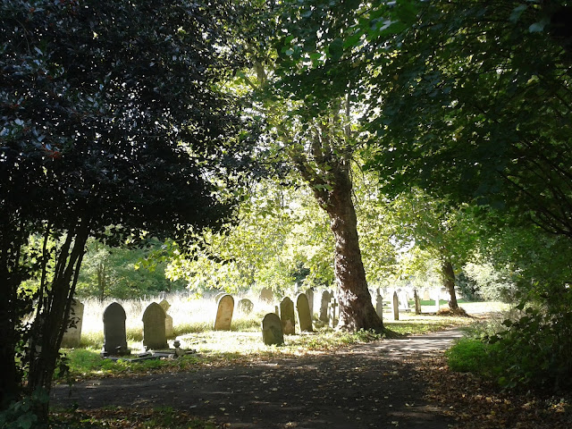 Lewisham Collection: Brockley Cemetery