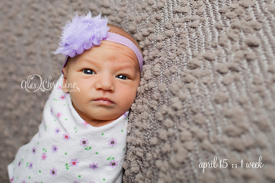 A Cubed Plus Two: Family of Four