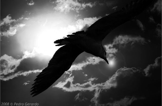 Real Life: A world without color