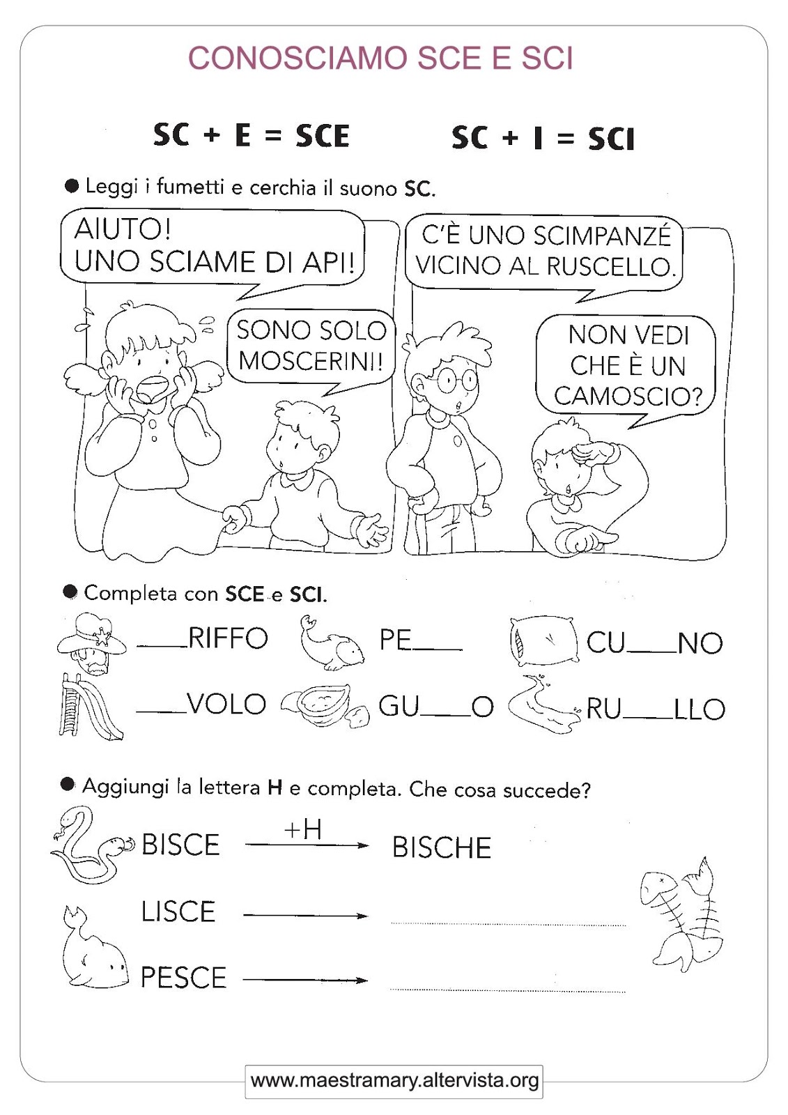 lumachina Ea: SCE SCI