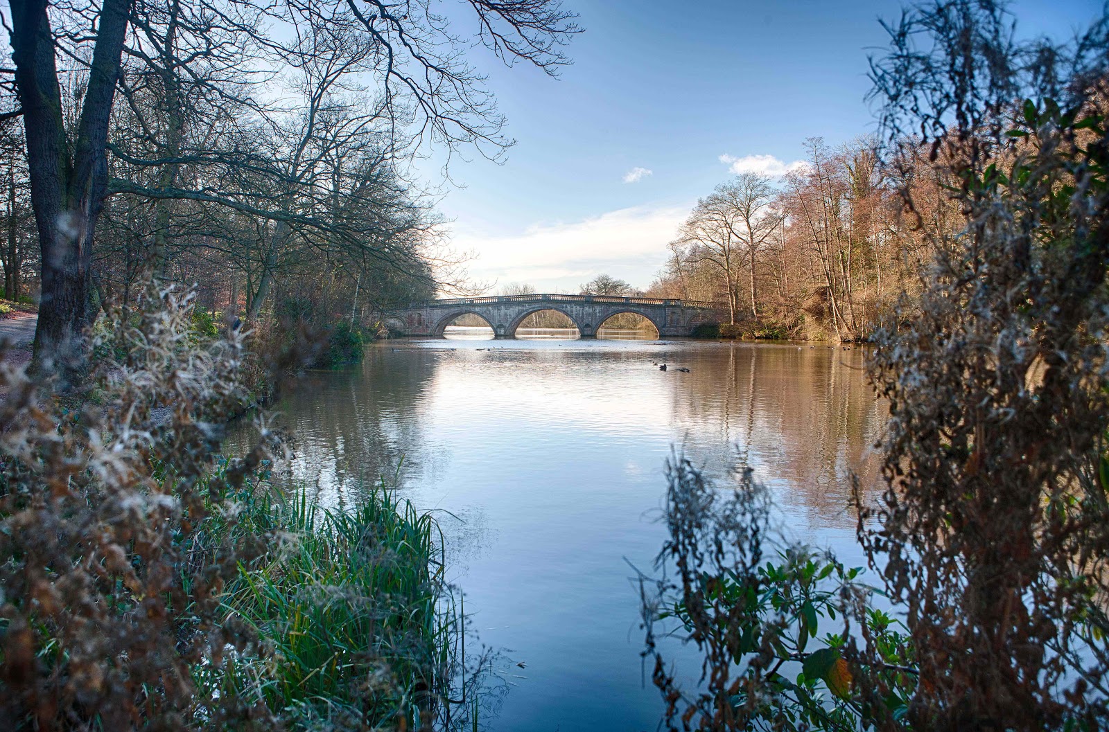 Woodlouse House: The Dukeries - Clumber Park